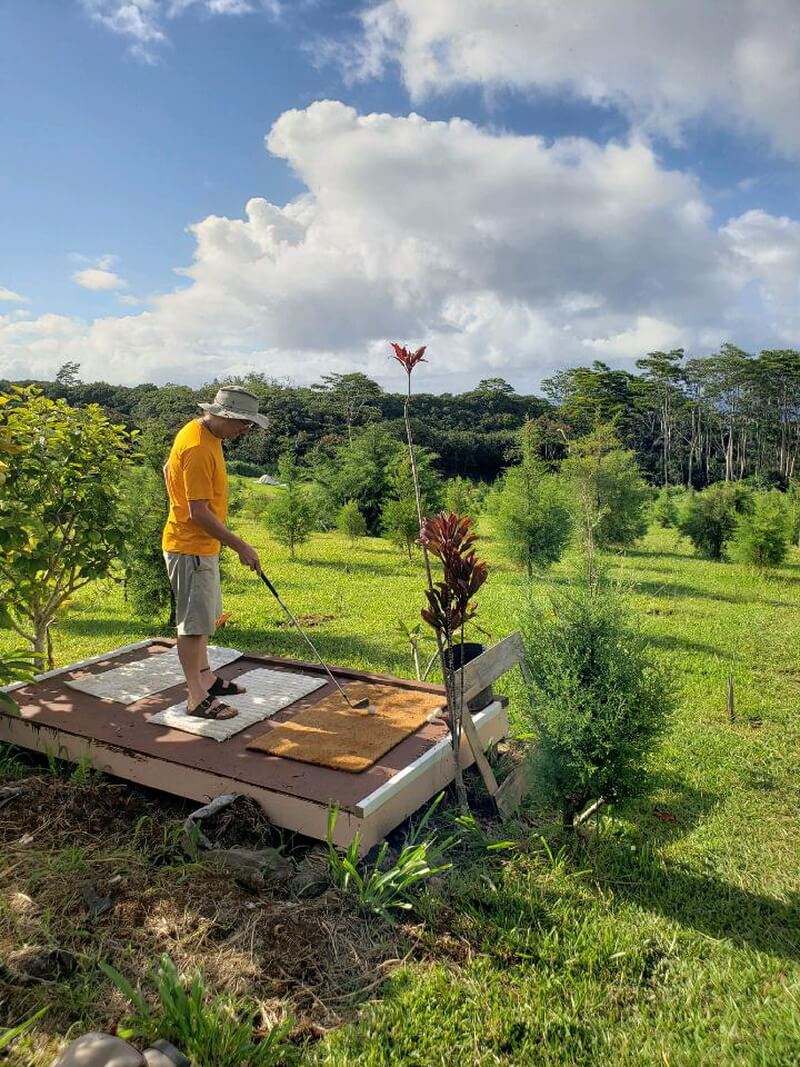 Hawaii Christmas Trees Photo Gallery | Hamakua Christmas Tree Forest